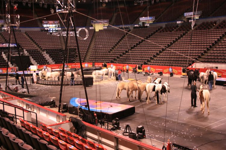 Heritage Bank Center - Ringling Bros and Barnum & Bailey Circus ...